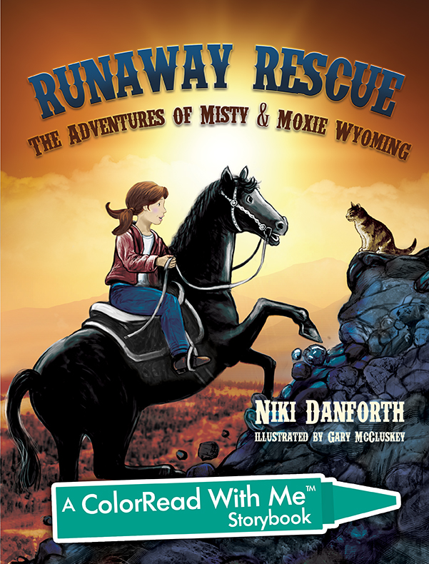 Niki Danforth – author of best-selling mystery thrillers and womens ...